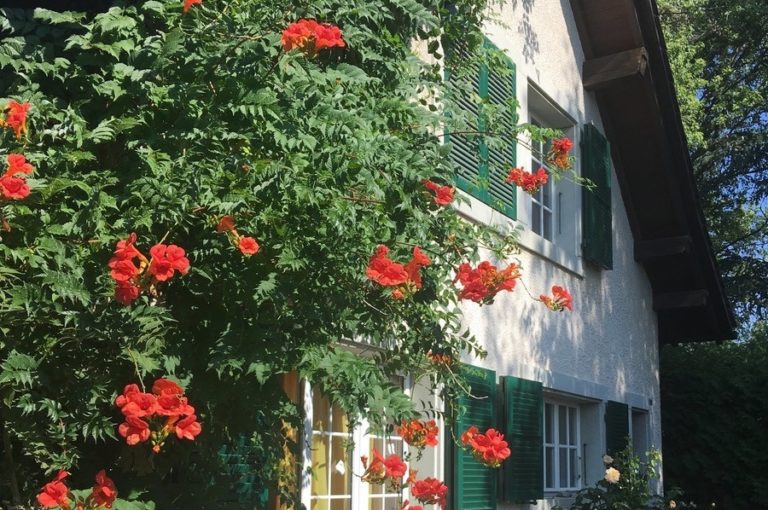 asdflk | Paris Match Suisse