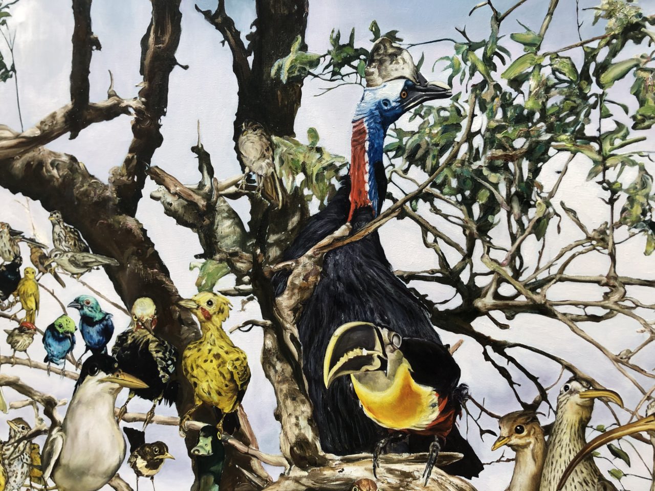 Les Neuchâtelois Till et Léopold Rabus exposent à Nantes | Paris Match ...